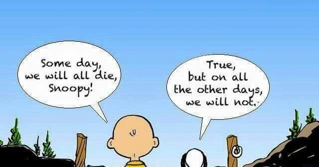 Writing In The Crosshairs: THE ZEN OF SNOOPY