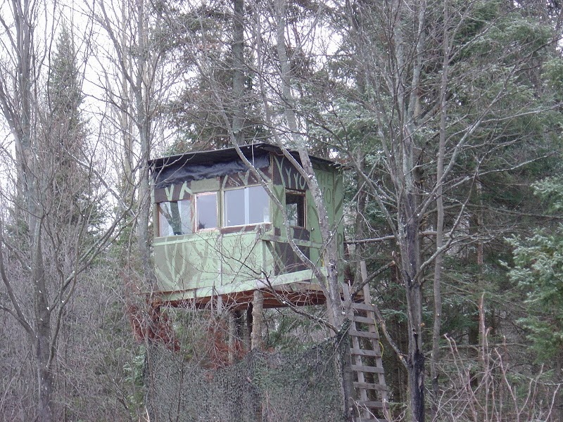 Hunting Tree House at Caitlin Kelley blog