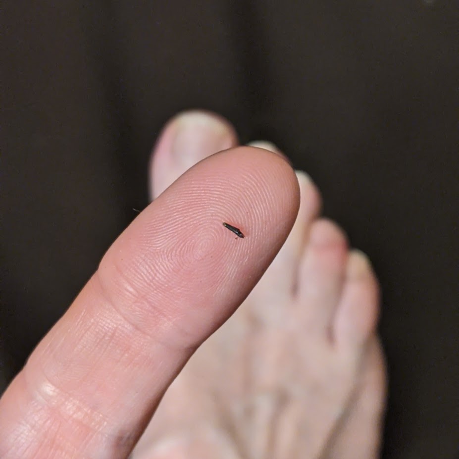 The Journal Of An Internetaholic