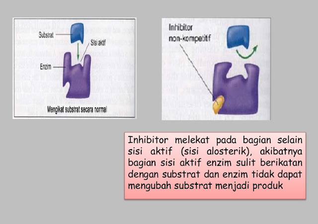 BIOLOGI GONZAGA: ENZIM METABOLISME