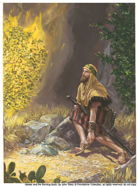 Roadmap of the Catholic Faith: 472 MOSES THE MEDIATOR