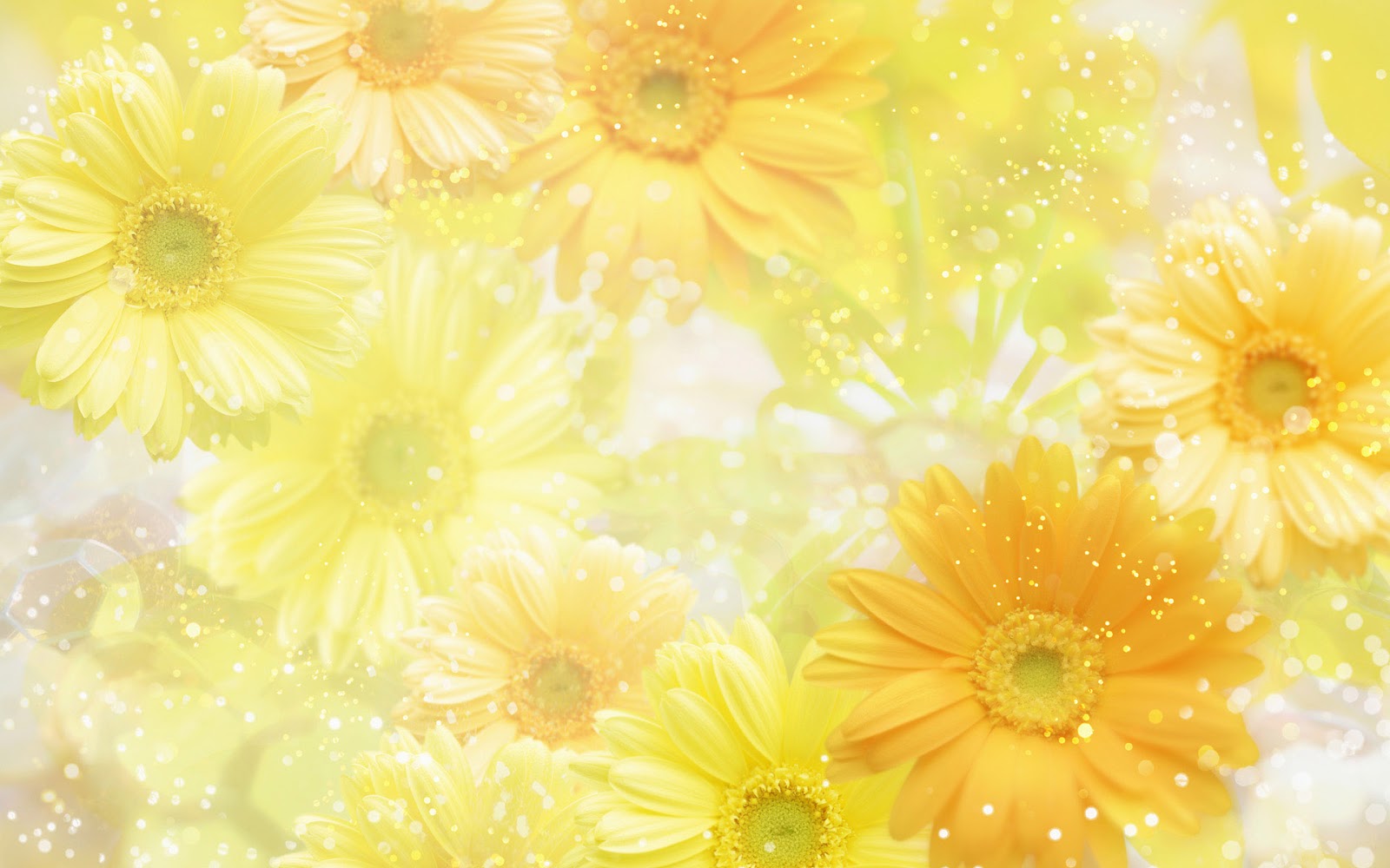 12 Wallpapers o Backgrounds de Flores Pack 02 - El Blog de Vku, Lo se ...