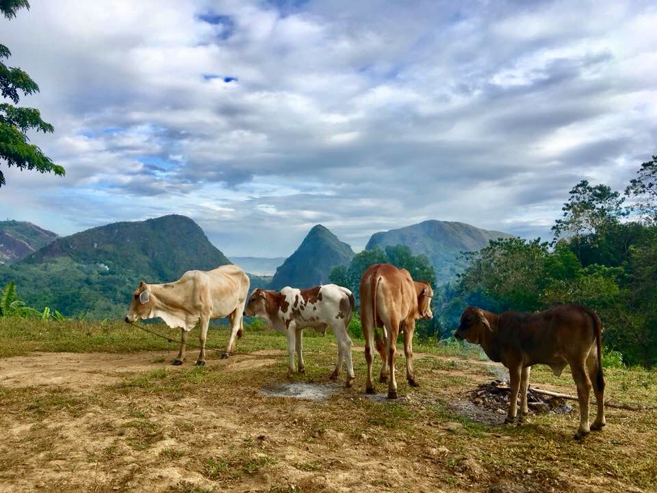 LIST OF MOUNTAINS IN RIZAL