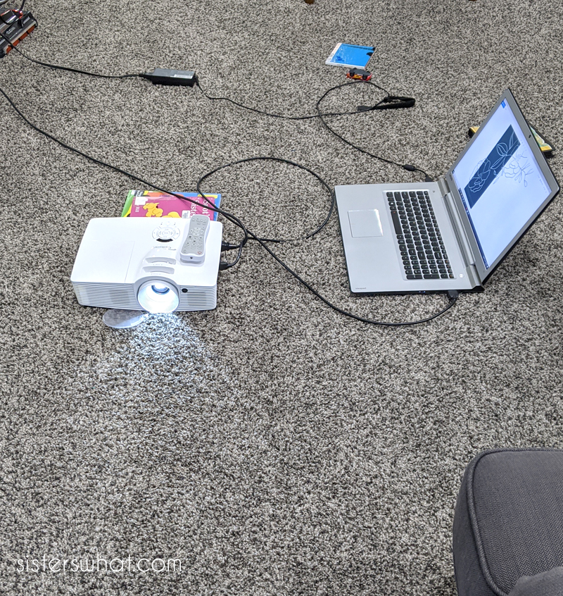 How to Paint a Floral Mural with a Projector - Sisters, What!