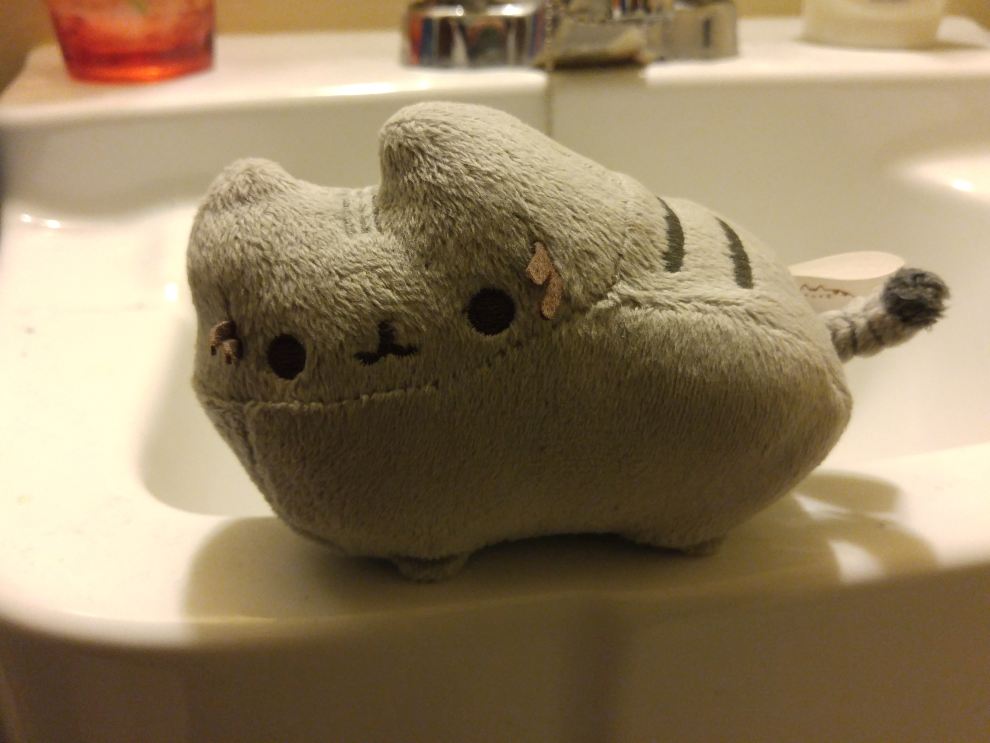 50 Photos of Pusheen