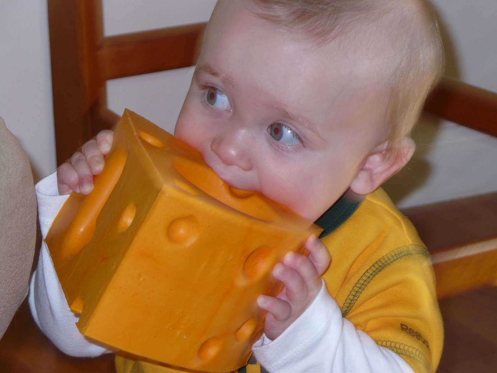 SophiaArolyn: Serious Cheese Head.