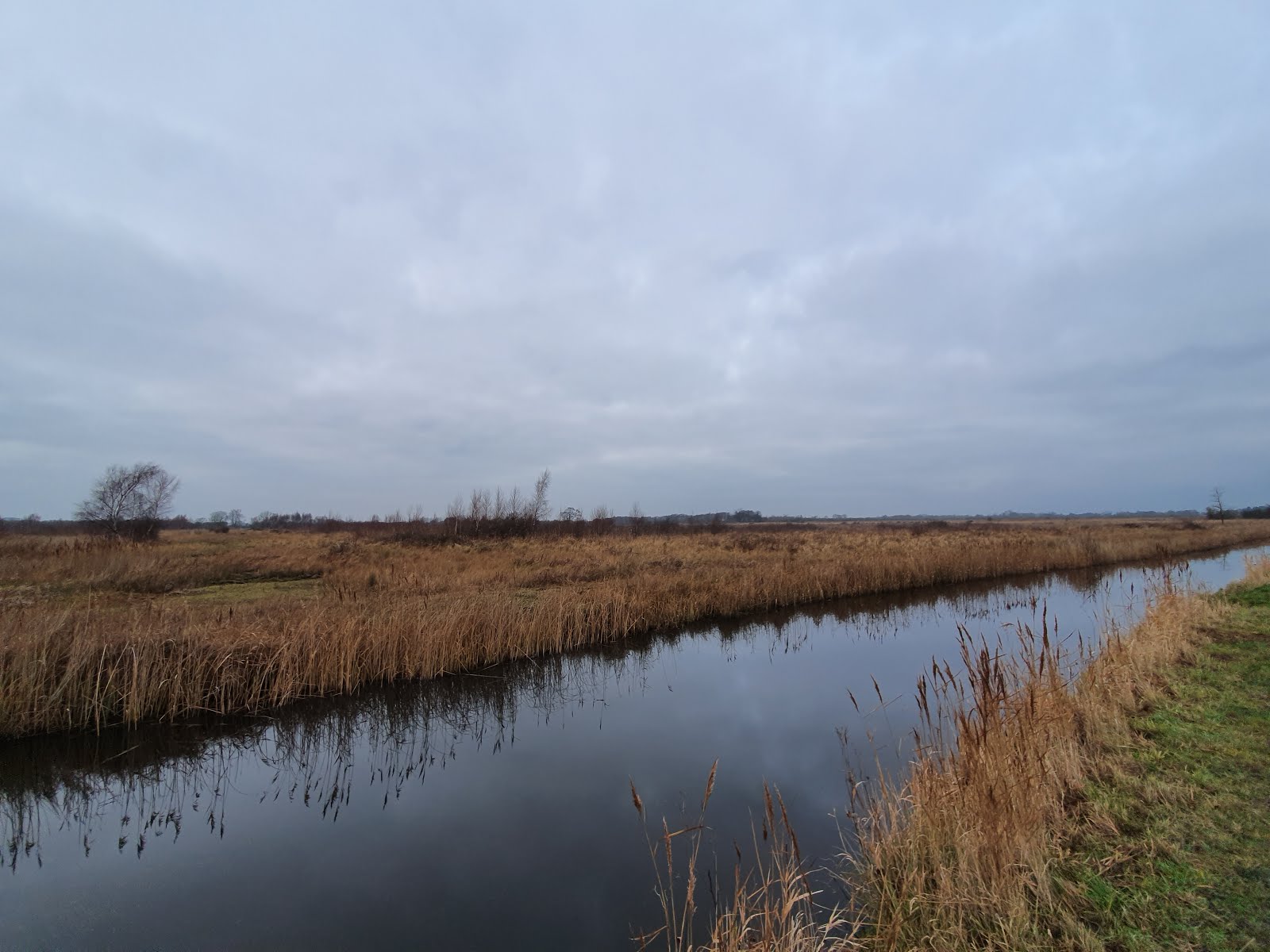 Winter Wonders at Wicken Fen