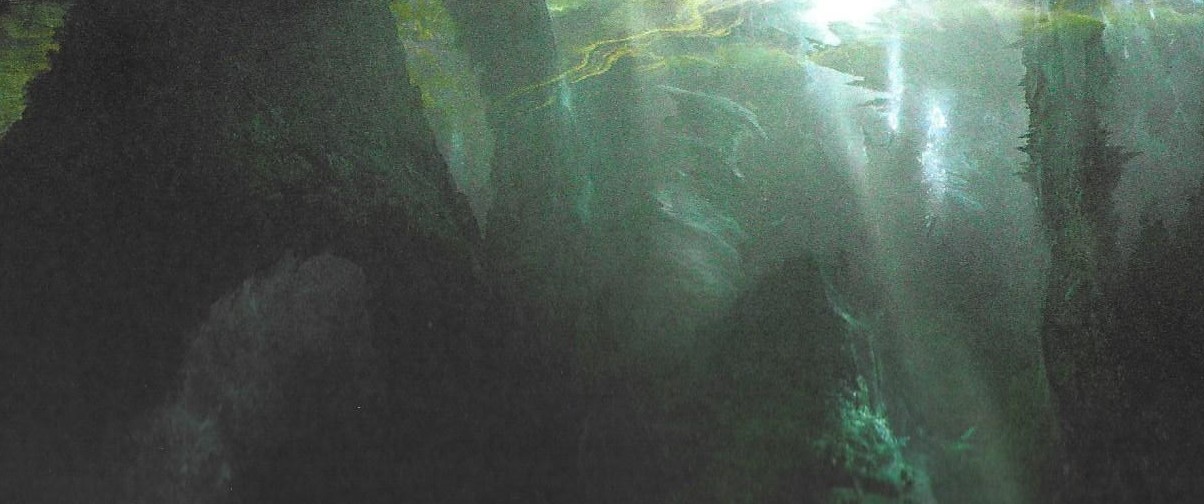 Novos concept arts de Vingadores: Ultimato revelam cena variantes em ...