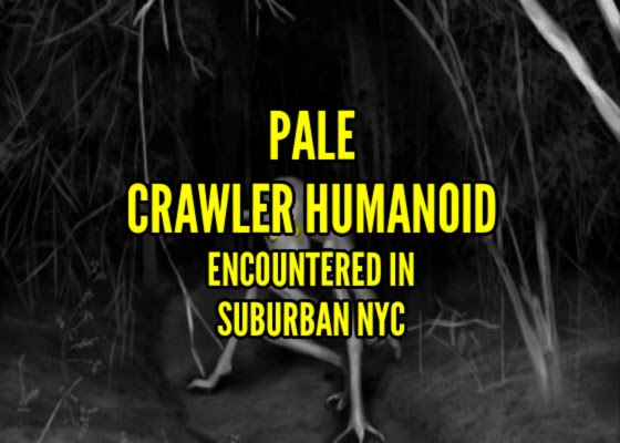 Phantoms and Monsters - Real Cryptid Encounter Reports - Fortean ...