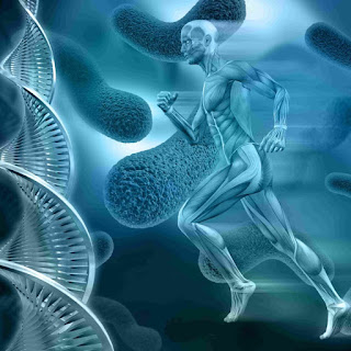 Wat is groeihormoon (HGH)