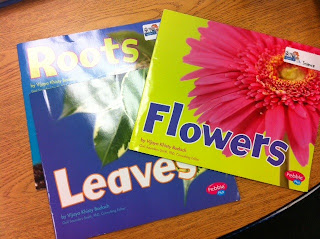 The Adventures of a K/1 Teacher: Fun with Plants