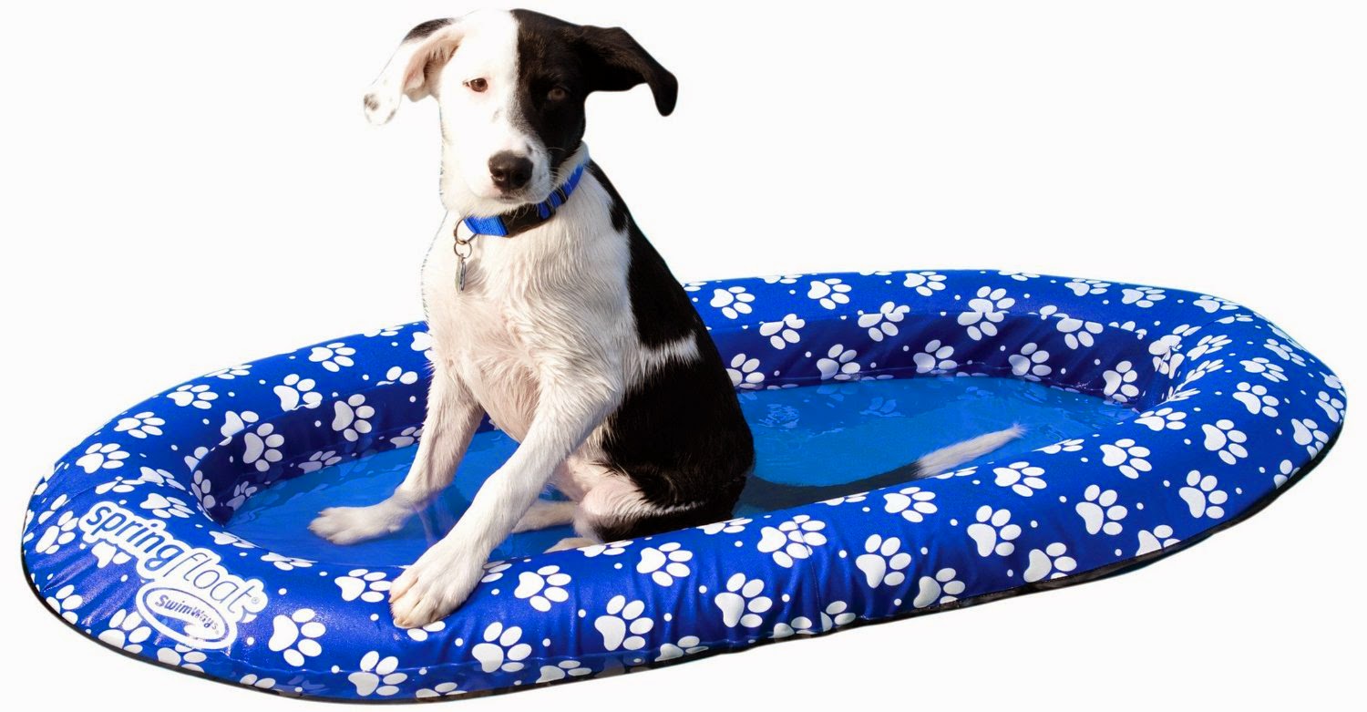 dog pool: dog pool floats