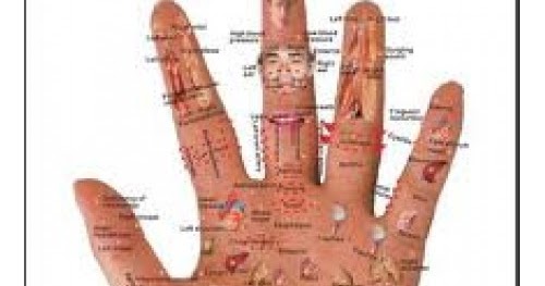 Hath Ki Mukhya Rekha - Hastrekha | INDIAN PALM READING - ASTROLOGY ...