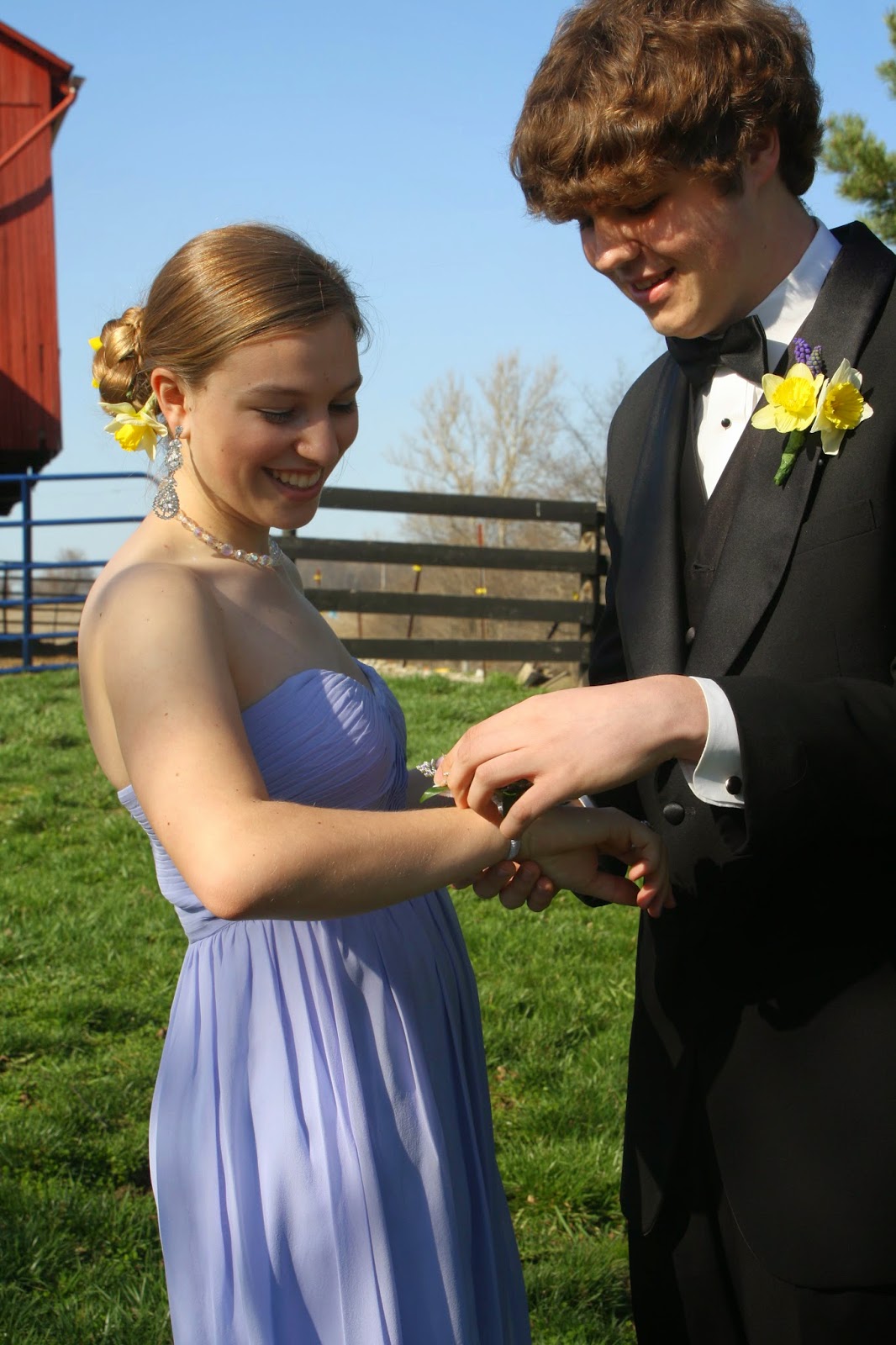 Cowfeathers Farm to Foxcroft Farm: Middlest goes to Prom 2015.