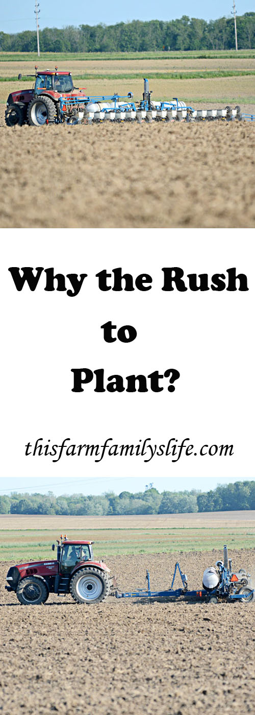 This Farm Family's Life: Why Do Farmers Rush to Finish Planting?