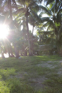 Vive La Vida--Tuvalu Happy Kitchen: Central Island Round Trip--Vaitupu