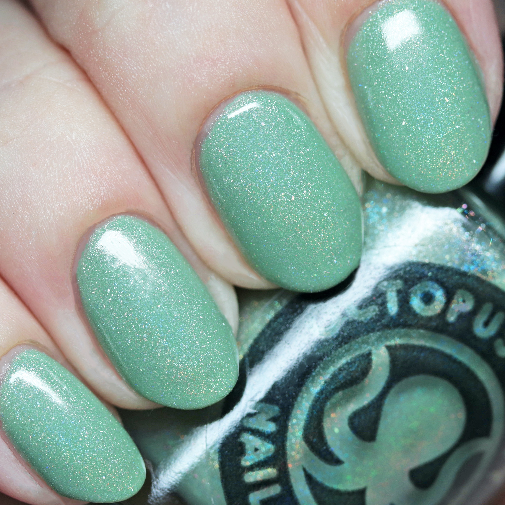 The Polished Hippy: Octopus Party Nail Lacquer Chiisai Collection ...