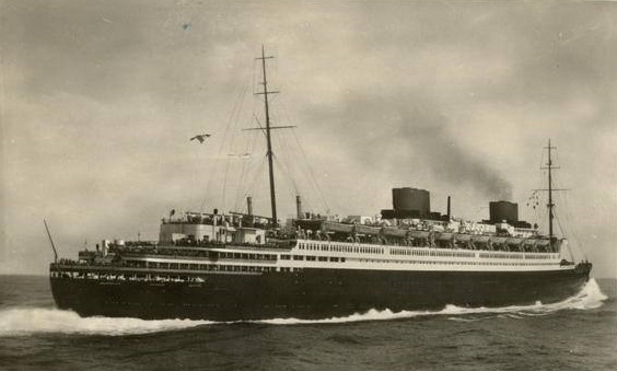 HISTORY - German Greyhounds III