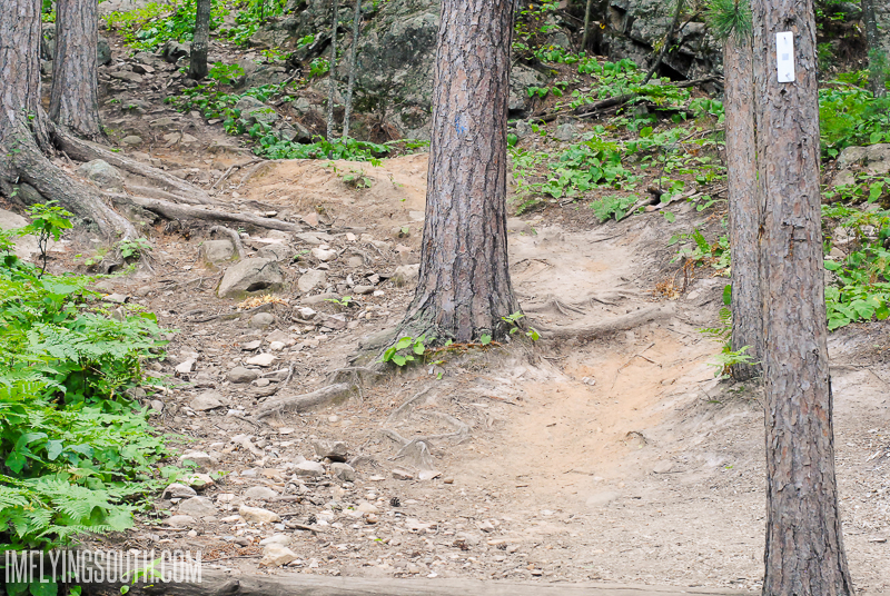 Hiking Hogsback Mountain - Marquette, Michigan. | I'm Flying South