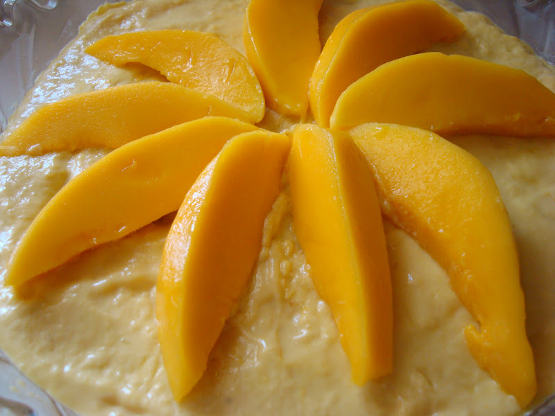 De quase tudo um pouco: Pave mousse de manga