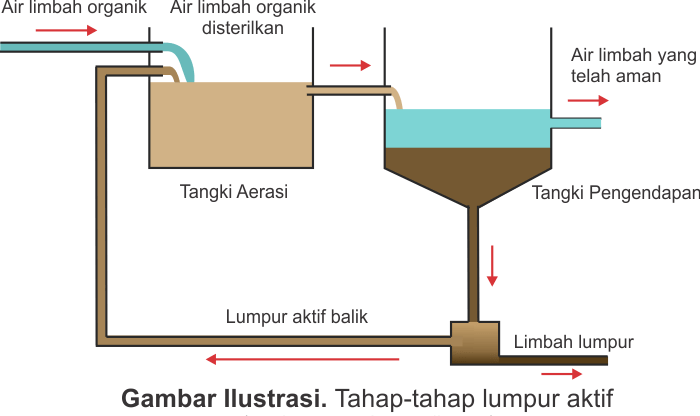 Penjelasan Lengkap Proses Pengolahan Limbah Cair Secara Biologi - Alif MH