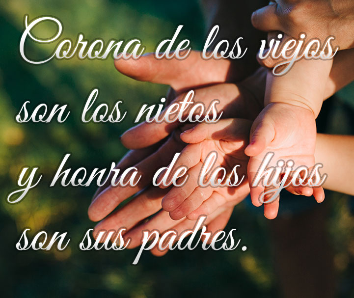 La Familia Blog De C sar Pi eiro la-familia-blog-de-c-sar-pi-eiro