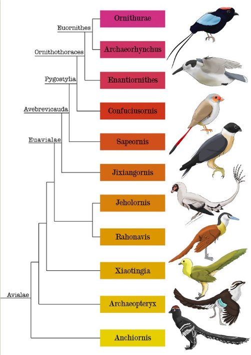 The Pondering Gulch: Et Tunc Nulla Erat X (Dinos 3)