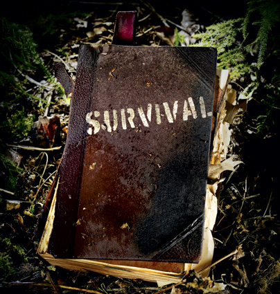 Survival | Survival The Adventurer