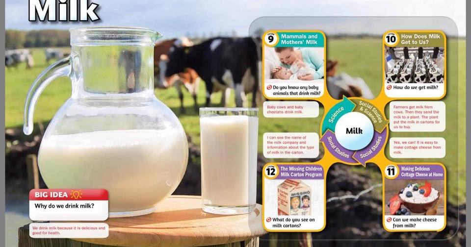 Happy Students Make Better Learners: LESSON 6: MILK