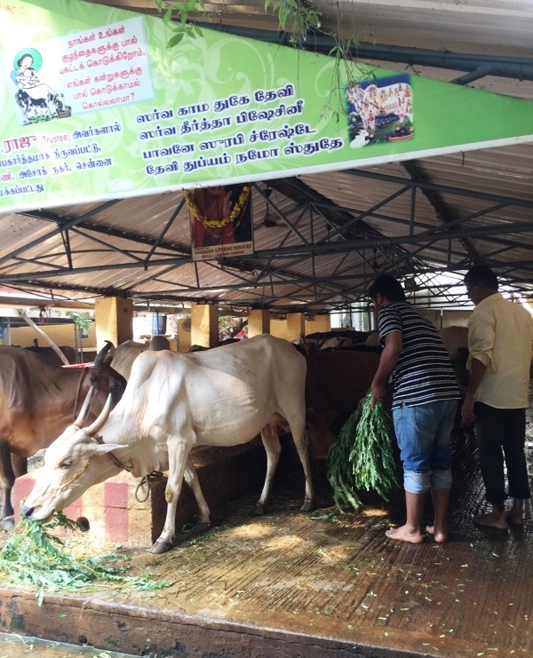 Tamilnadu Tourism: Sankara Madam, West Mambalam, Chennai