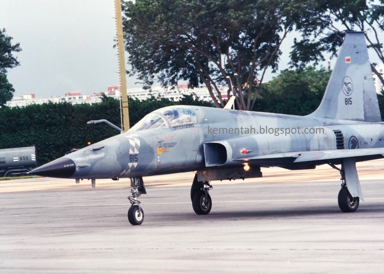 Senang Diri: Circuit breaker Day 22 pix: Colourful F-5 camouflage schemes