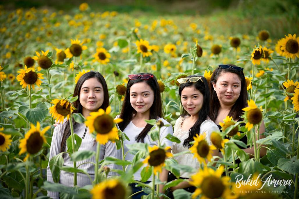 My Asian Secret Garden: Cultivating Happiness at Bukid Amara