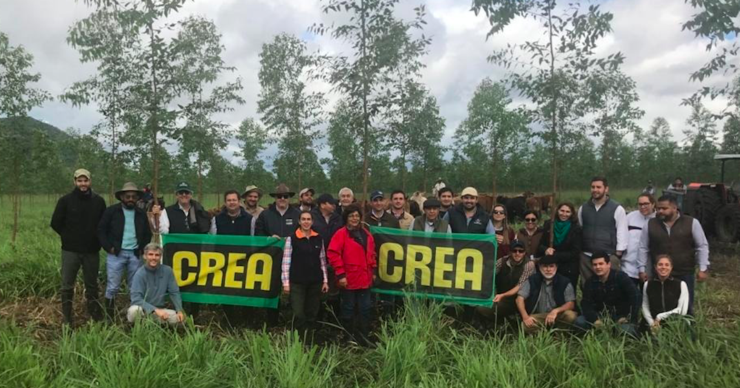 Qué es CREA