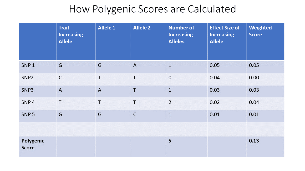 Behavioural Genomics: Polygenic Scores - Genome-Wide Association ...