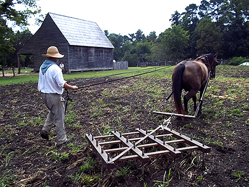 Passion for the Past: A Year on a Colonial Farm: Living By the Seasons