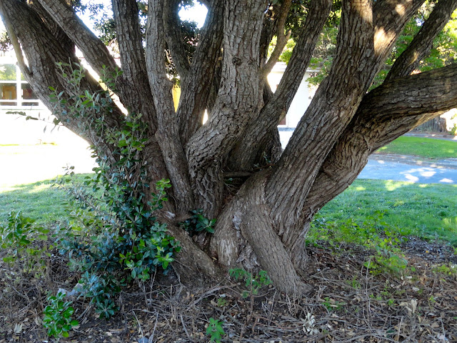 Sabbatical in New Zealand 2012: Mental Notes, the documentary film by ...