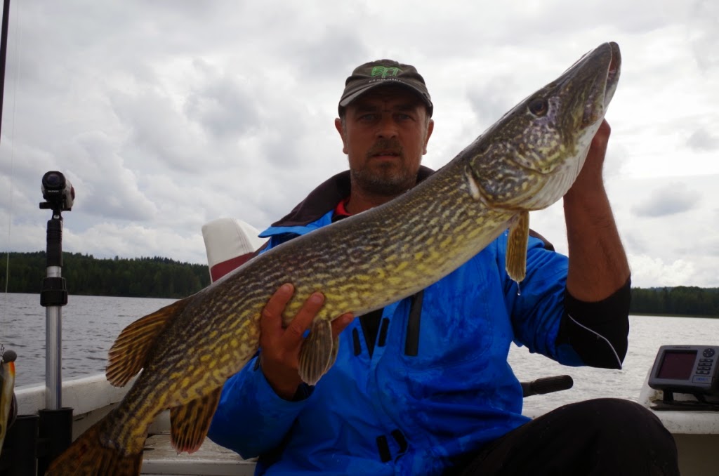 Fiskebröder: Fula fiskar. Fula jiggar. Fula fiskare.