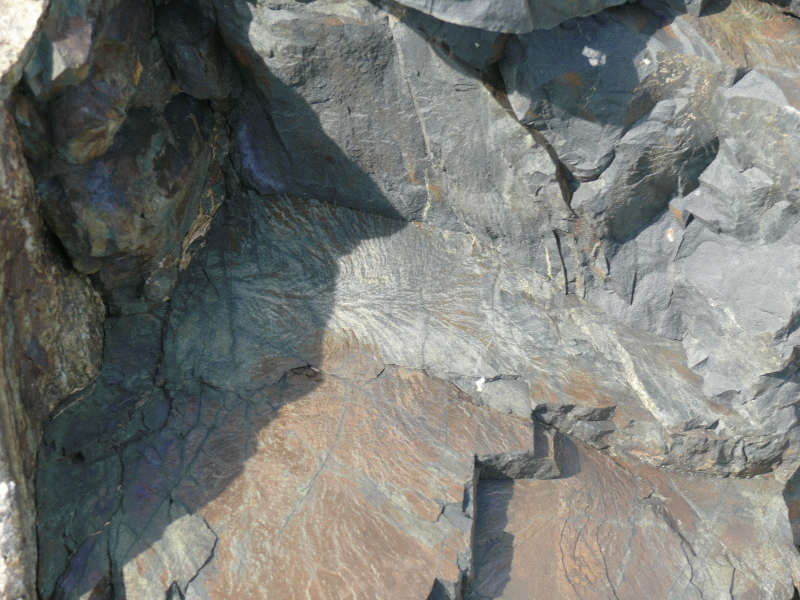 Schoodic Point ~ Hudson Valley Geologist