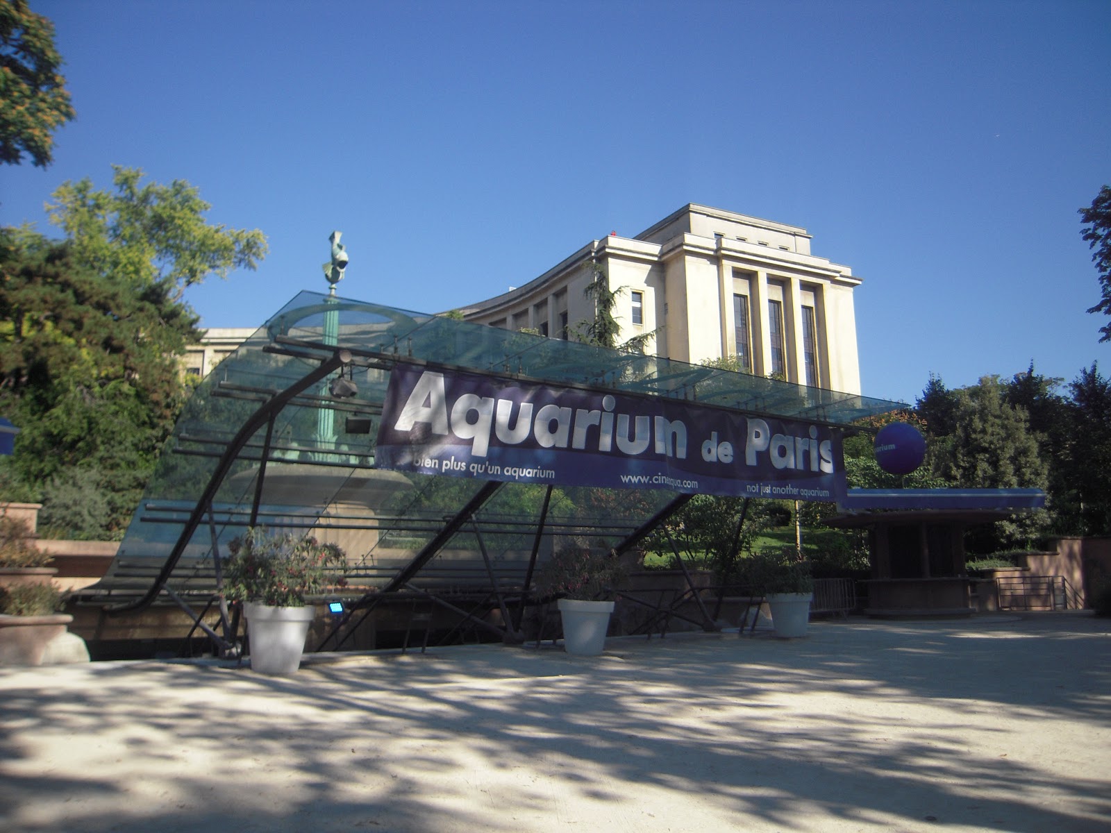 Visite de l'Aquarium de Paris - Cuisine et Métissage
