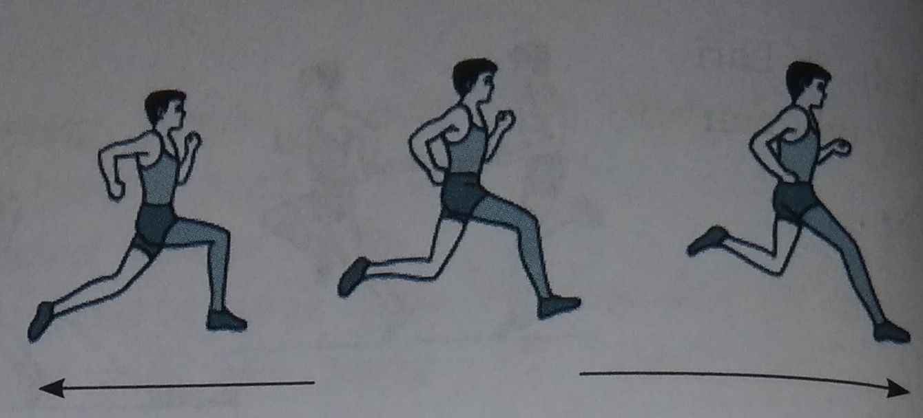 Sport Science: Lari Sprint