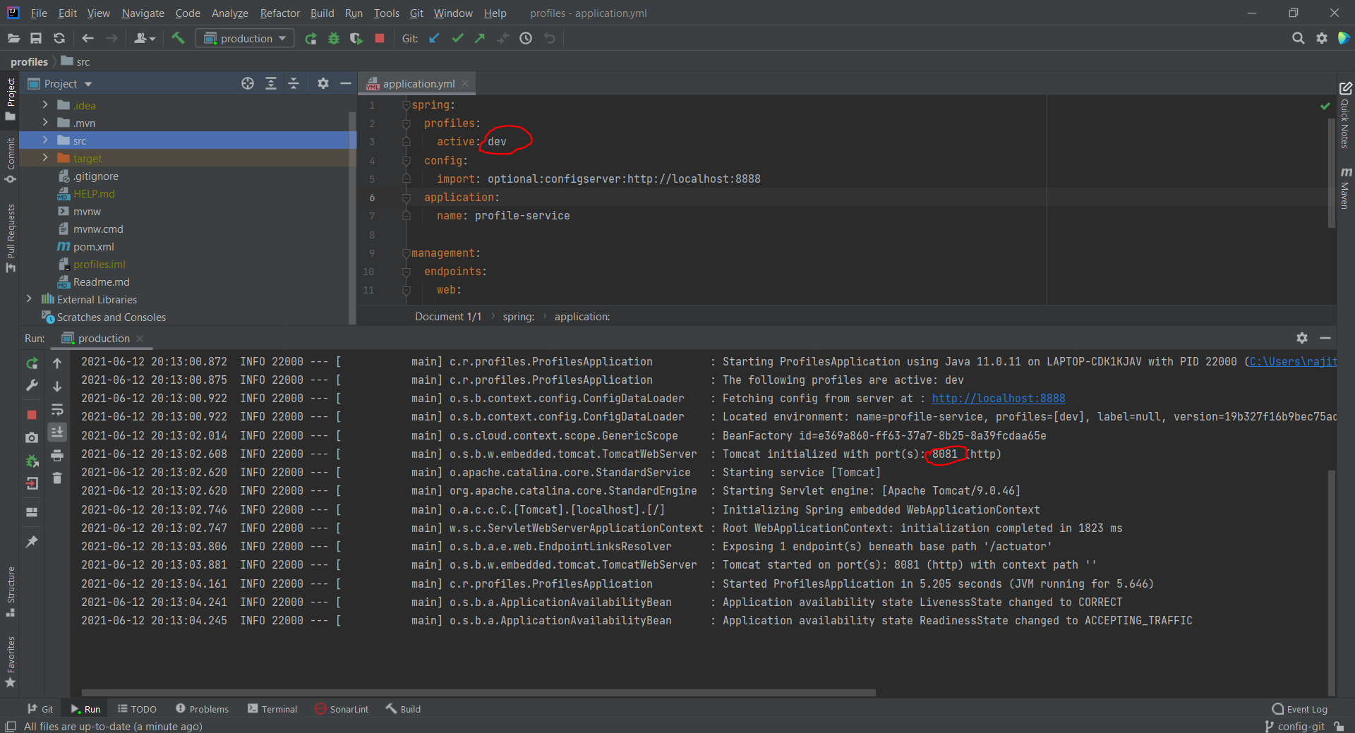 spring cloud config server - Git backend