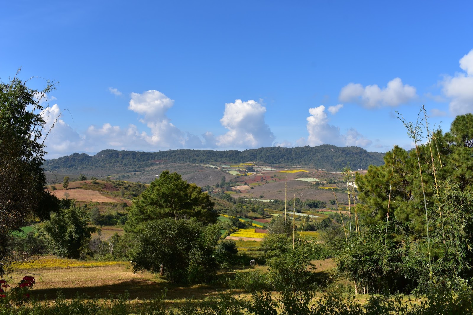 Kalaw Trekking Tour: Kalaw trekking