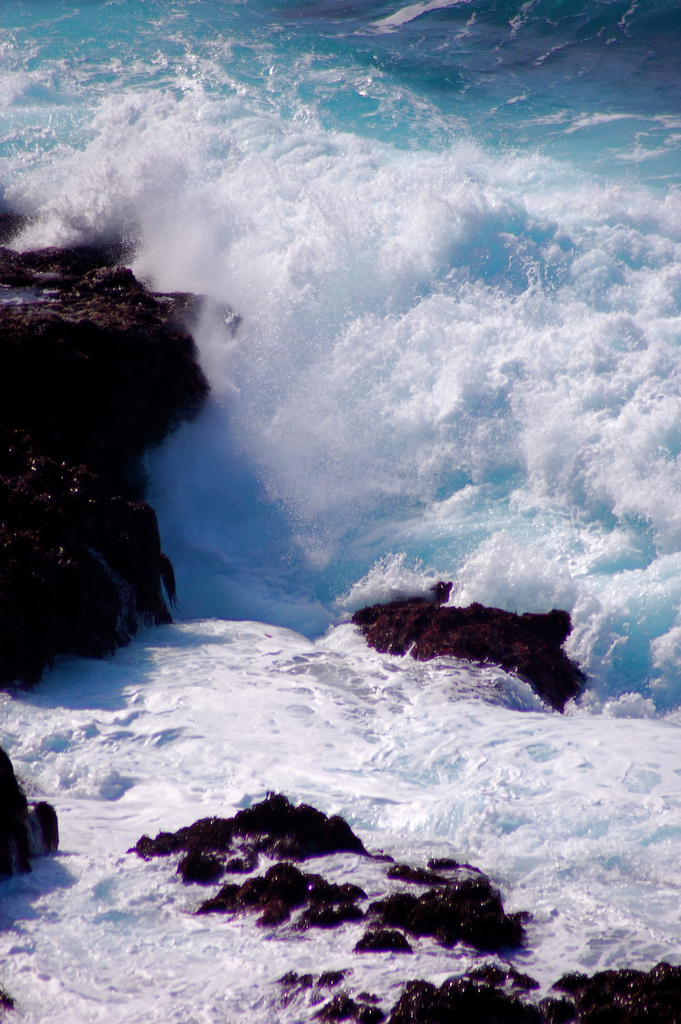 Bandanamom: Shutterbug