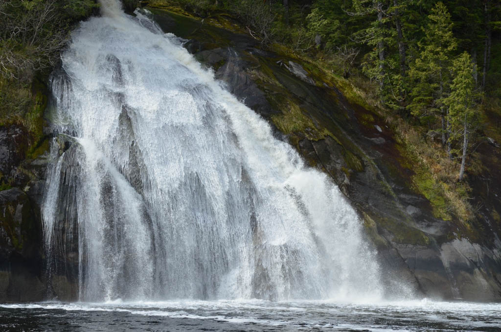 Adventures of Tanglewood: Winter Cruising and Spring Relocation to ...