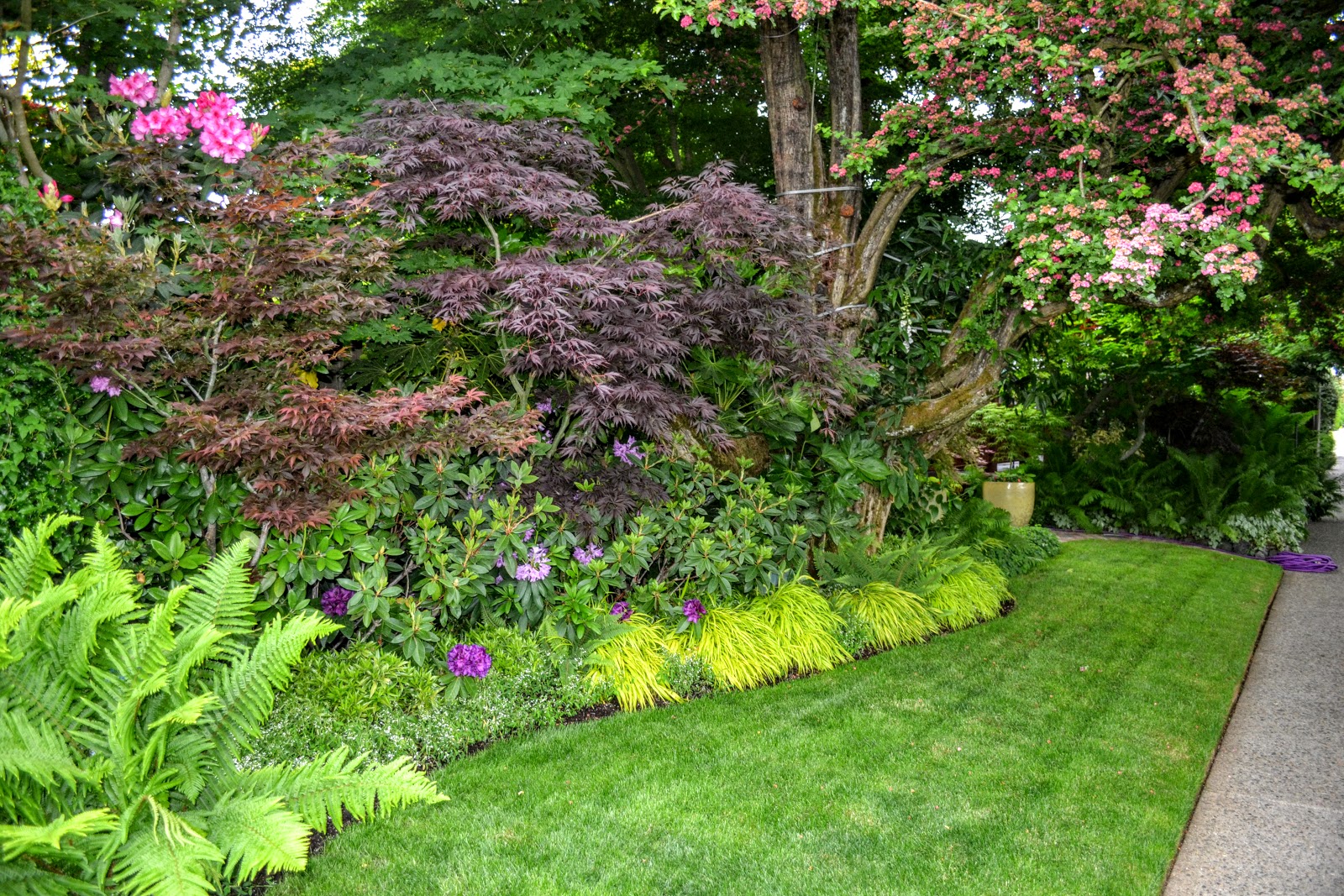 The Outlaw Gardener: A Spectacular and Mysterious Garden