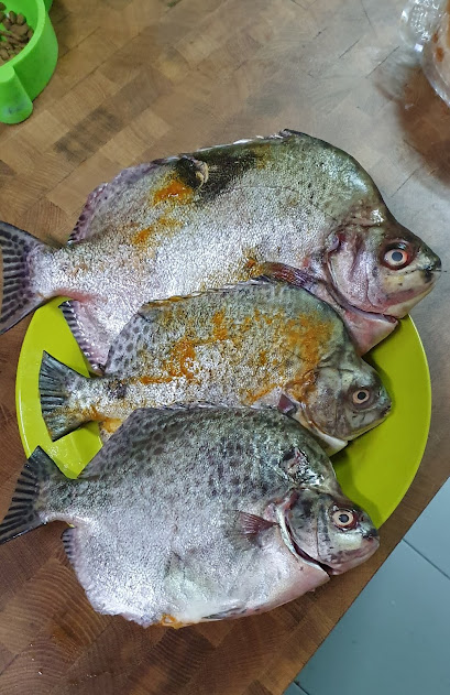 Warisan Petani: Ikan Kitang