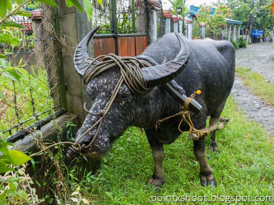 point, shoot, delete: August 2012