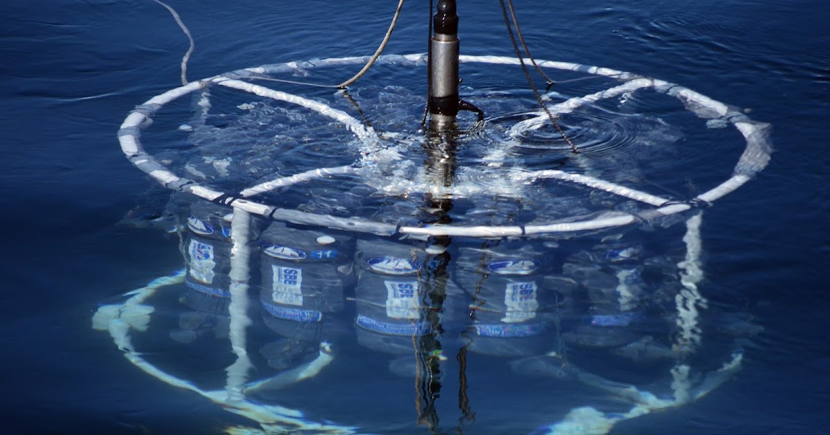 To Collect water from two different water bodies around you and study ...