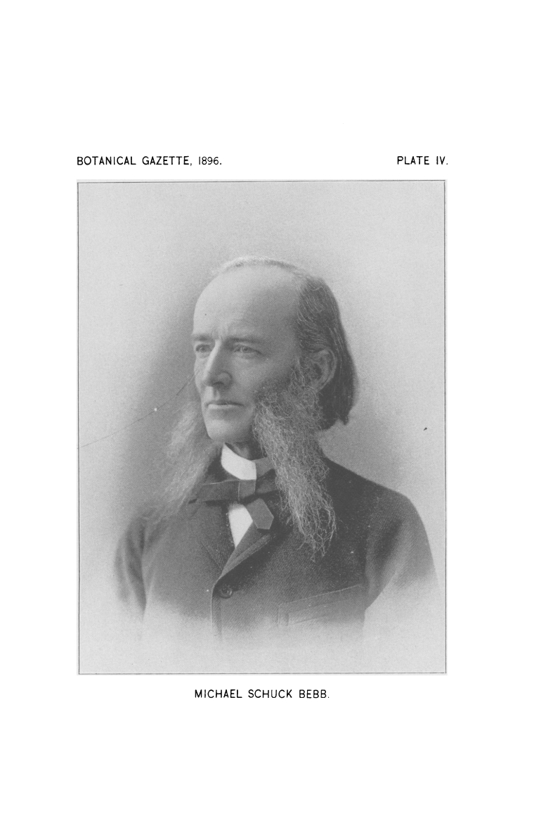 Every goddamn day: 12/29/23: Bebb Oak