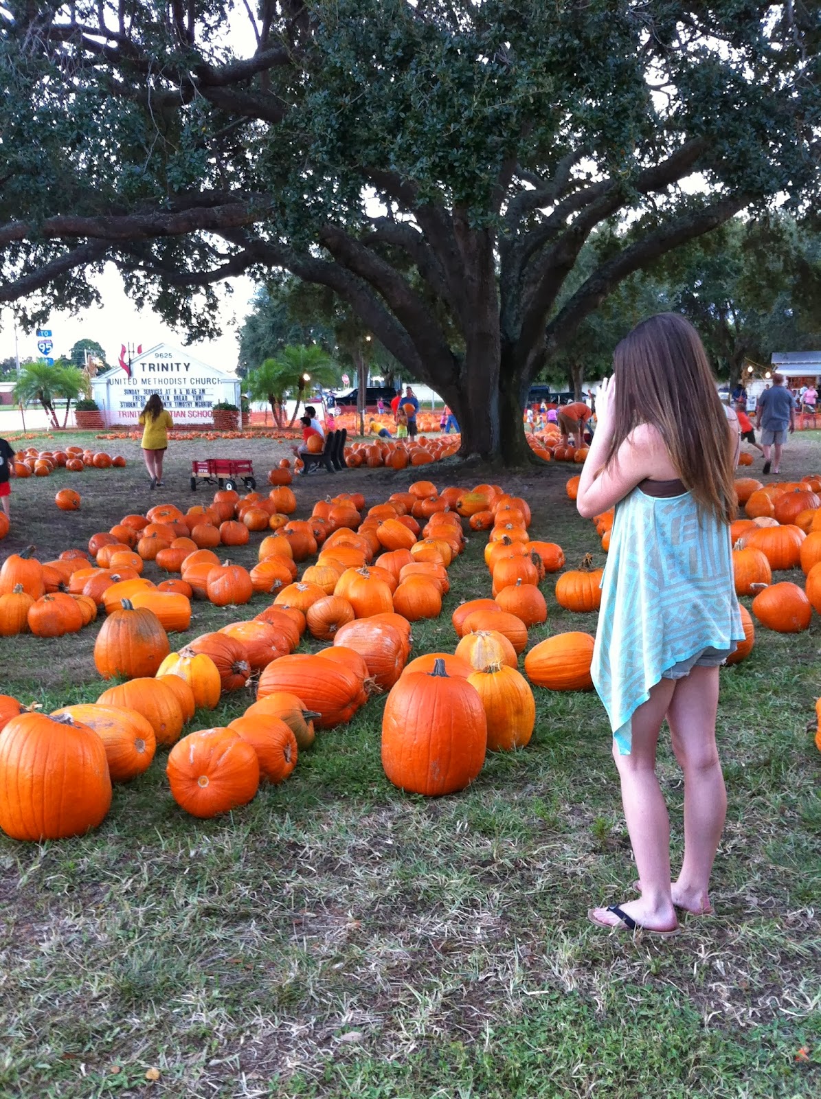 Sounds Like Chelsea's Life: Pumpkin Patch!